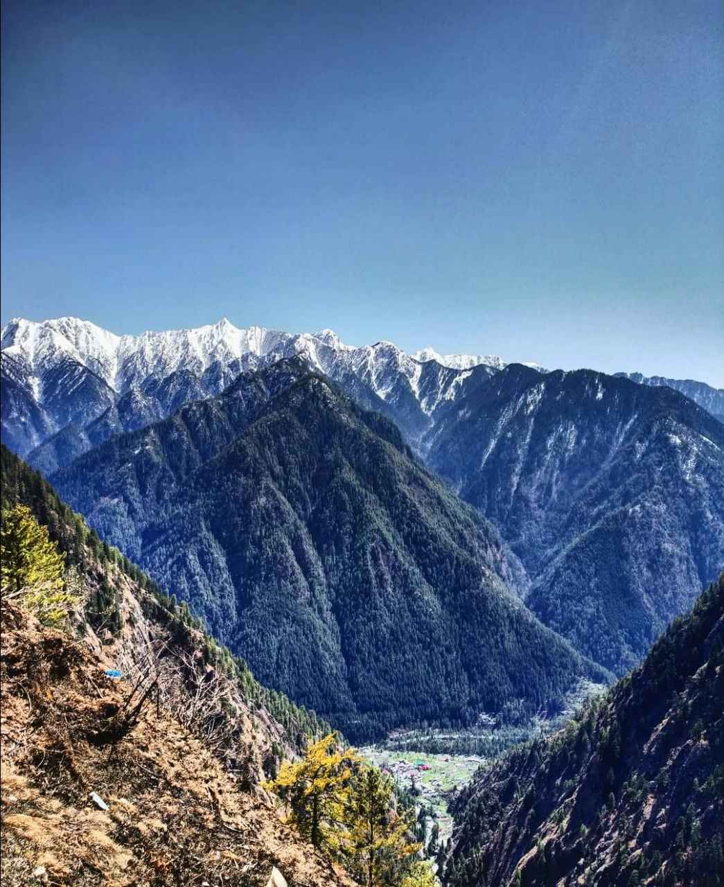 Angela Gupta (noootingaround) (@angelagupta) Travel Blogger at Tripoto