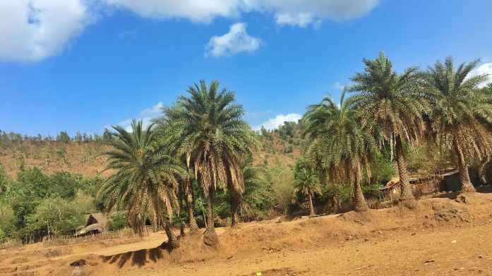 Honest, Useful Traveler Guides To Dudhani 2021 | Tripoto