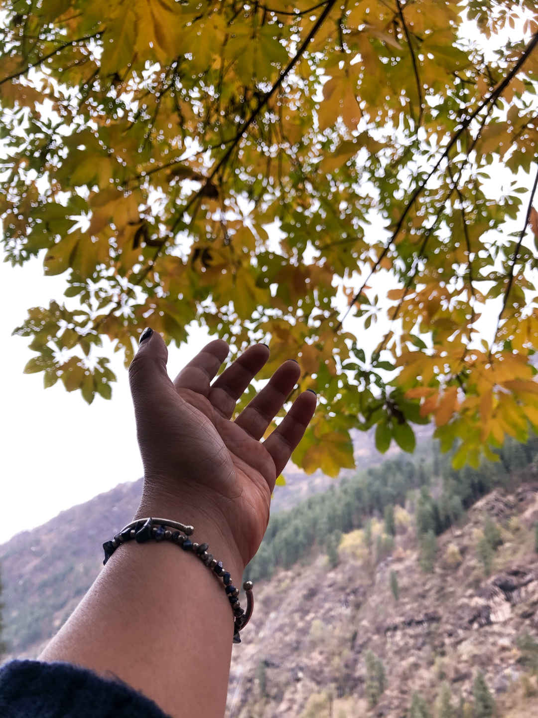 Tumblr Fall Leaves Photography