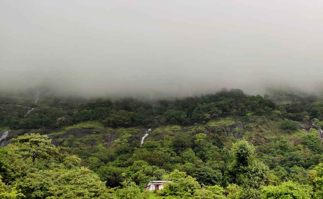 Honest, Useful Traveler Guides To Bhimashankar 2023 | Tripoto