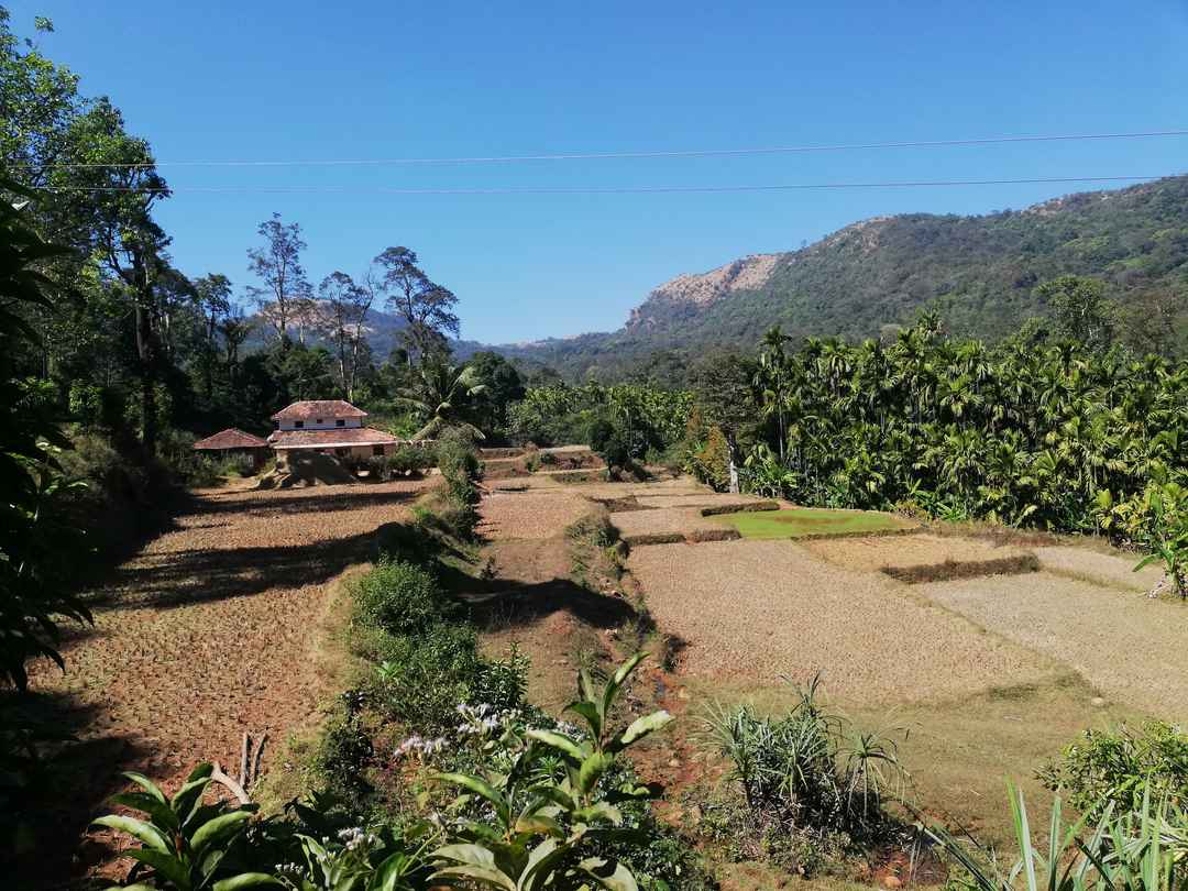 Kodachadri and Arishina Gundi