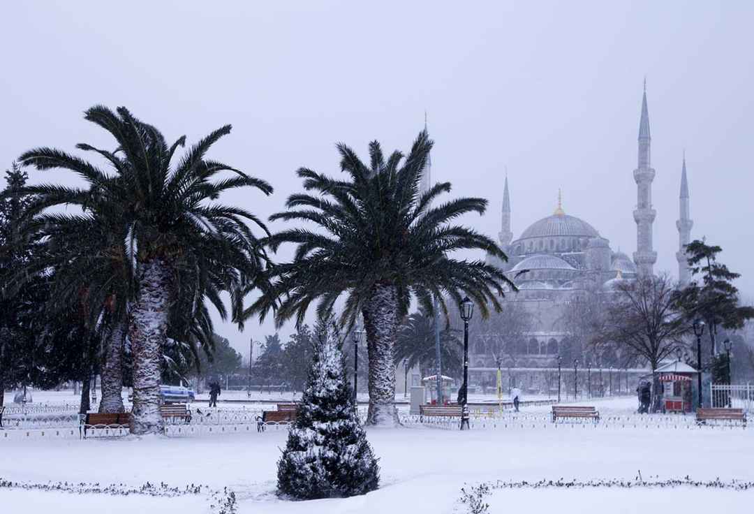 best place to visit in january in india - Tripoto