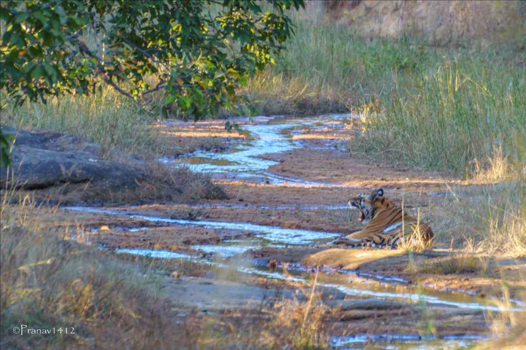 Pranav Mehendale (@pranavmehendale) Travel Blogger at Tripoto
