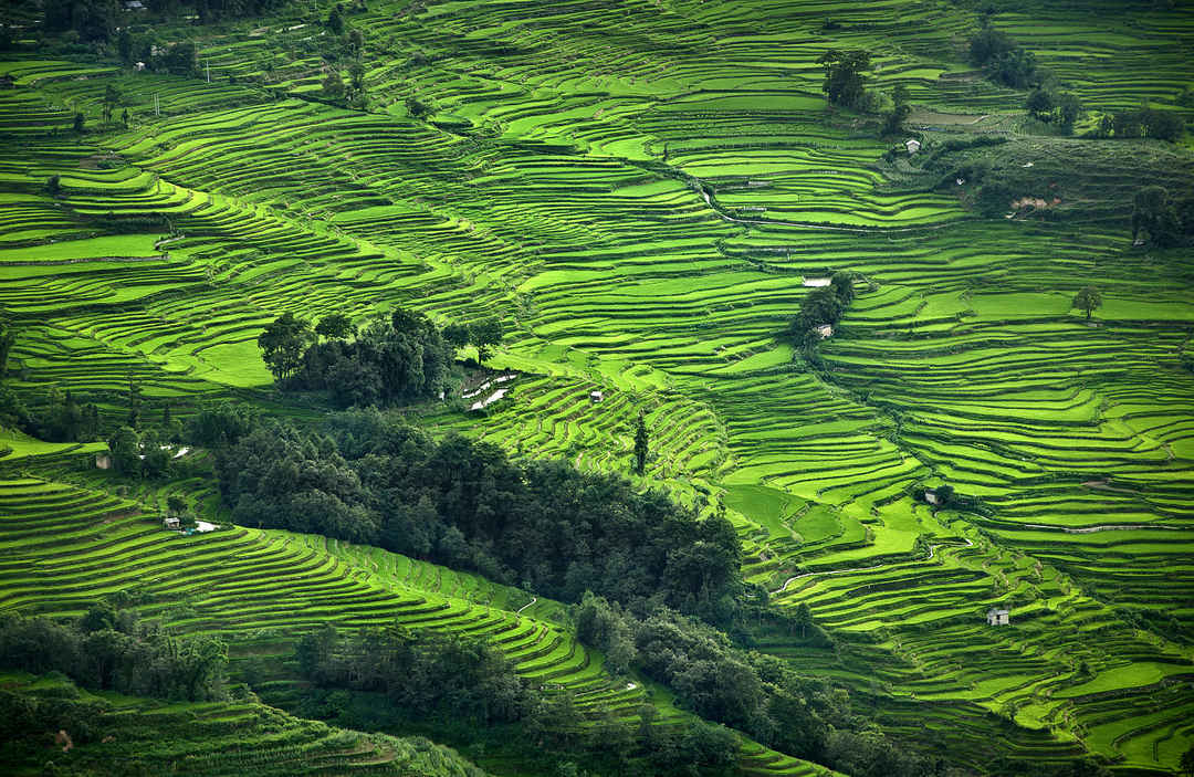 Honest, Useful Traveler Guides To Kunming 2022 | Tripoto