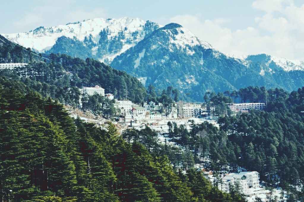 Honest, Useful Traveler Guides To Patnitop 2023 | Tripoto