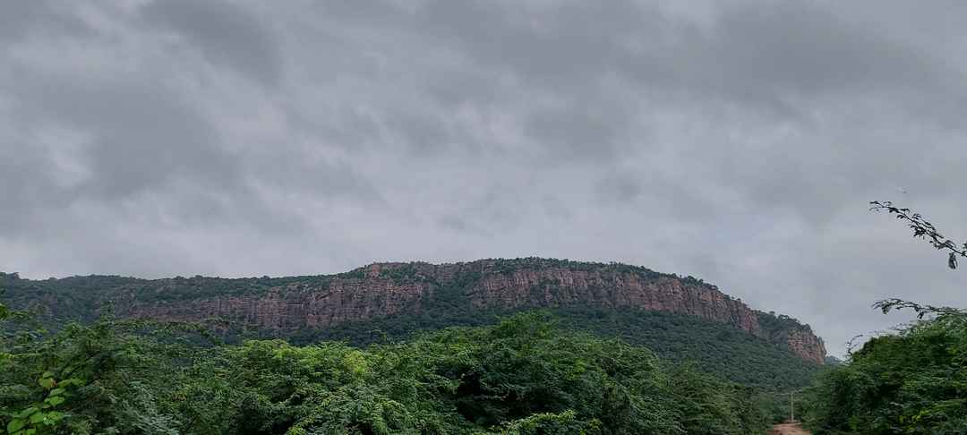 Lakarda, Lakkarda, IN: View Images, Timing and Reviews | Tripoto