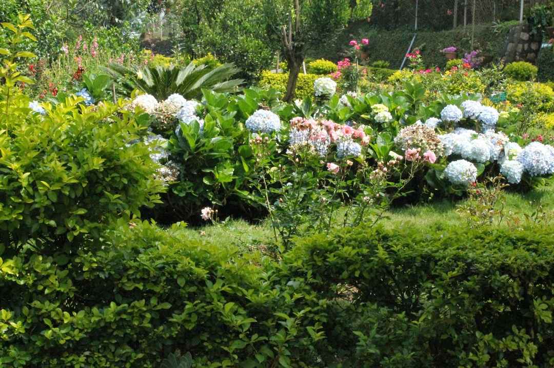 Cherthala Travel Guide 2022: Best of Cherthala Tourism | Tripoto