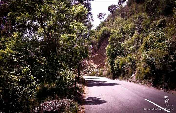 Honest, Useful Traveler Guides To Barog 2022 | Tripoto