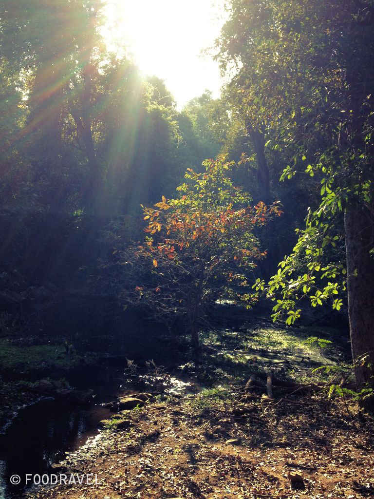 Chandrapur Travel Guide 2023: Best of Chandrapur Tourism | Tripoto