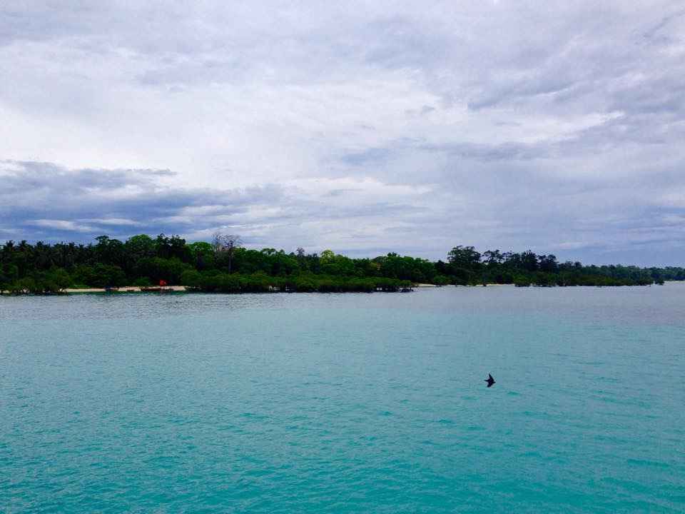 Exploring the beautiful and lonely Neil Island of Andaman - Tripoto