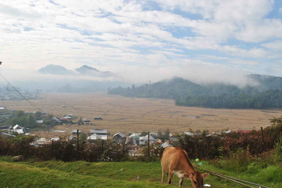 Discovering Ziro: On the Trail of the Apatanis - Tripoto