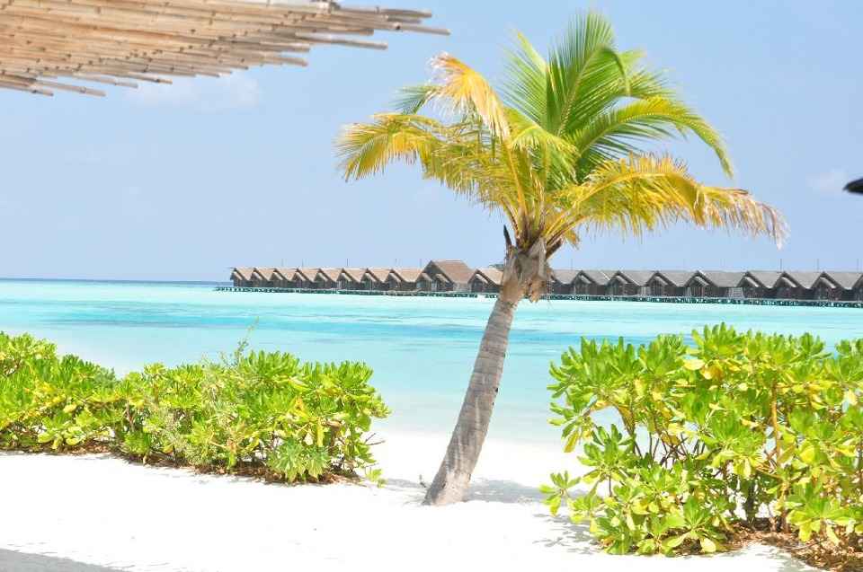 Maldives: Travel guide and itinerary - Tripoto