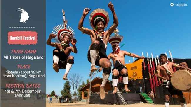 Looking for Different Extravagant Cultures 7 Tribal Festivals in India ...