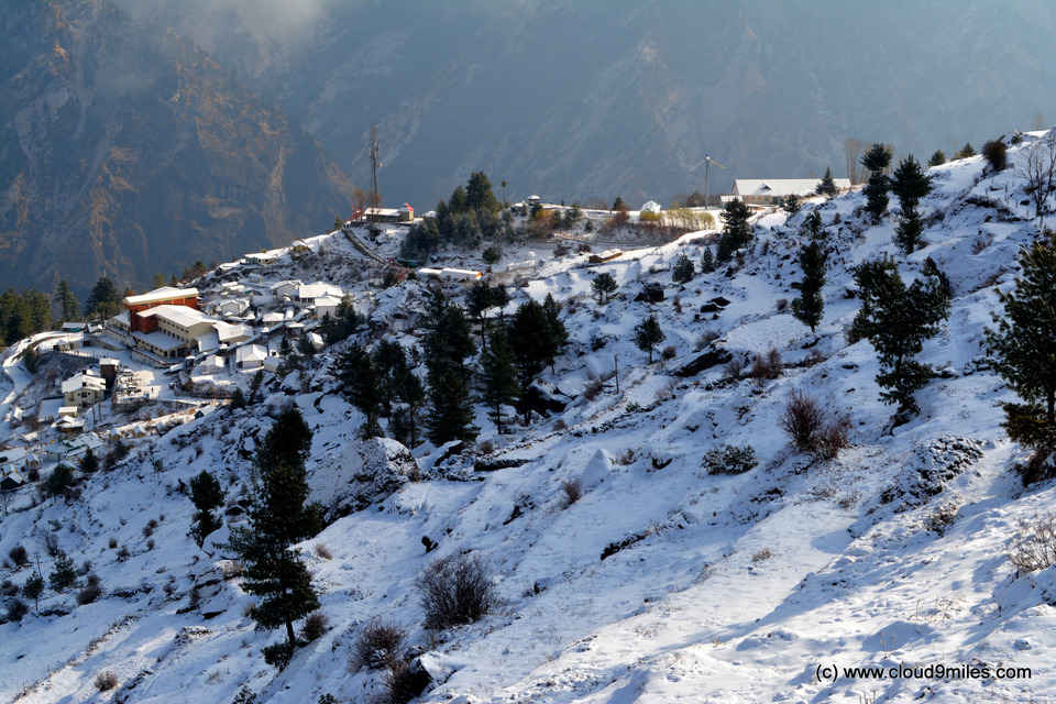 Auli Images: Check out Best Time to Visit Auli Auli Snowfall Time - Tripoto