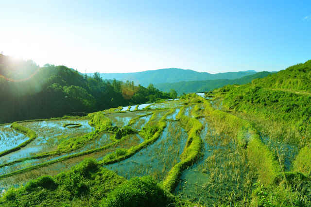 Manipur: The jewel of India - Tripoto