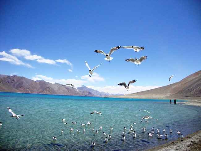 The Ladakh Photo Diary: A Glimpse Into The Most Beautiful Place On ...