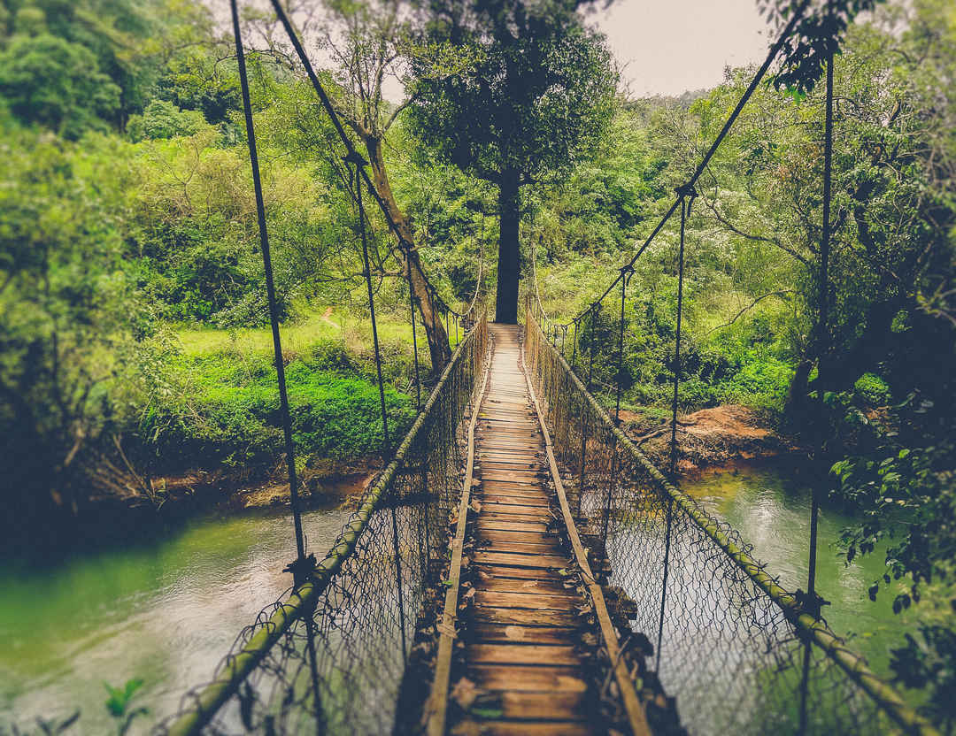 8 things that will make your trip to Coorg even more memorable - Tripoto