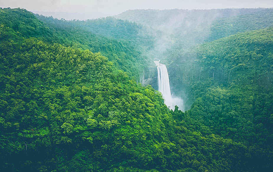 Goa in Monsoon: Things to do in Goa in Monsoon - Tripoto