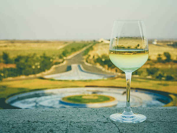 5 Impressive Vineyards In India That Are Not Sula | Tripoto