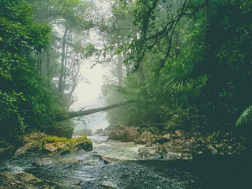 Amazing Agumbe - Tripoto