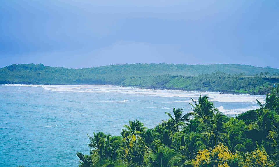 The Goa Diary - Tripoto