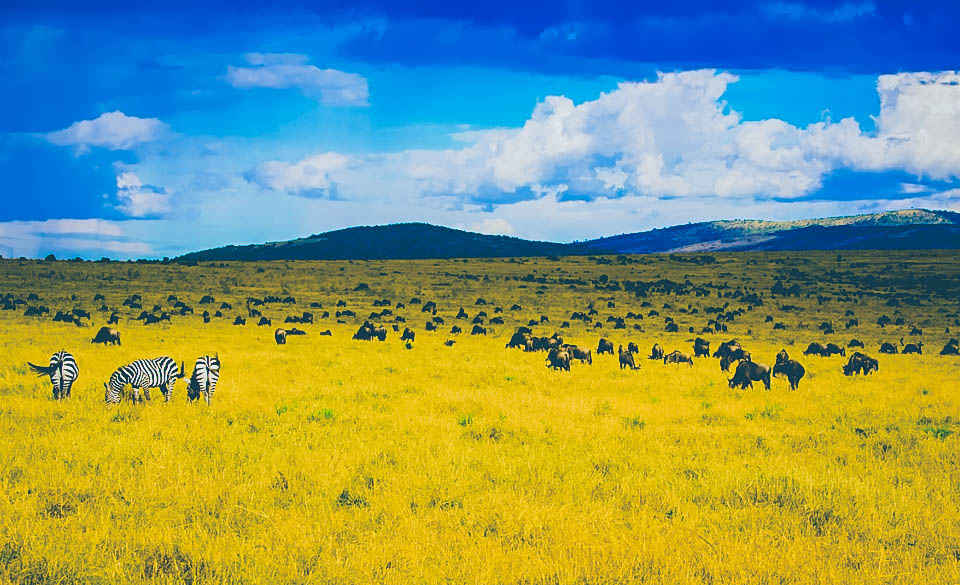 Kenya Tourism Will Take You To The Magical Land Of Your Dreams