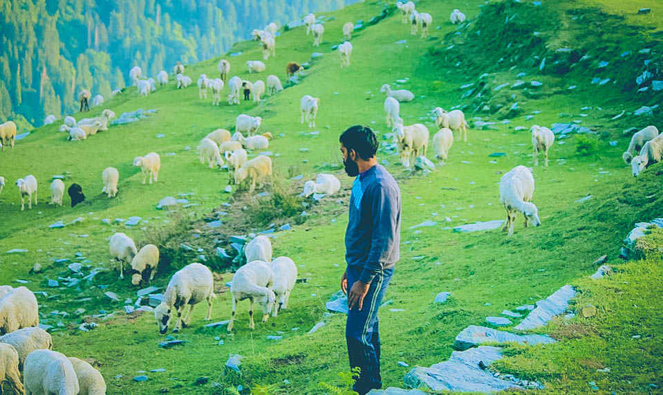 Bairagarh - An Unexpected Find in Himachal - Tripoto