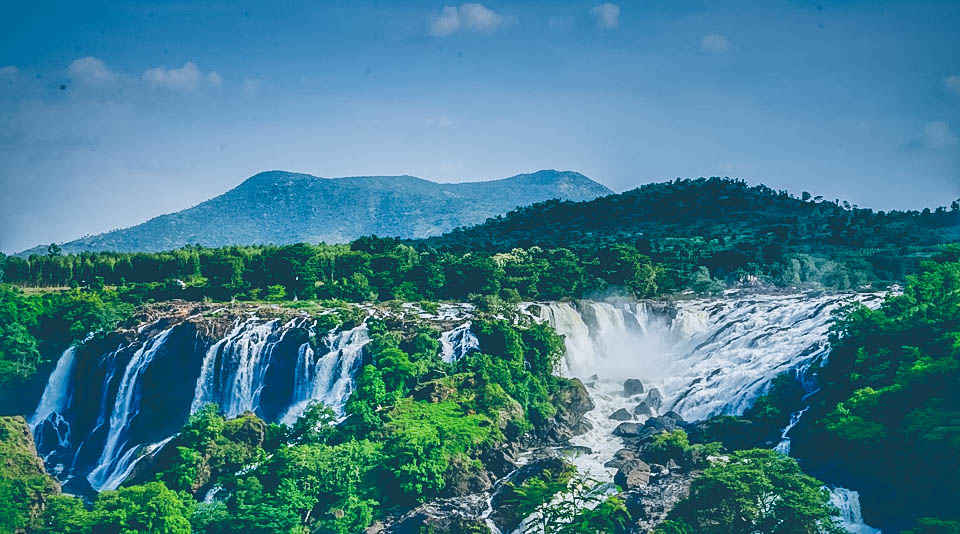 A temple to bring them all together, and a jungle to mesmerize them ...