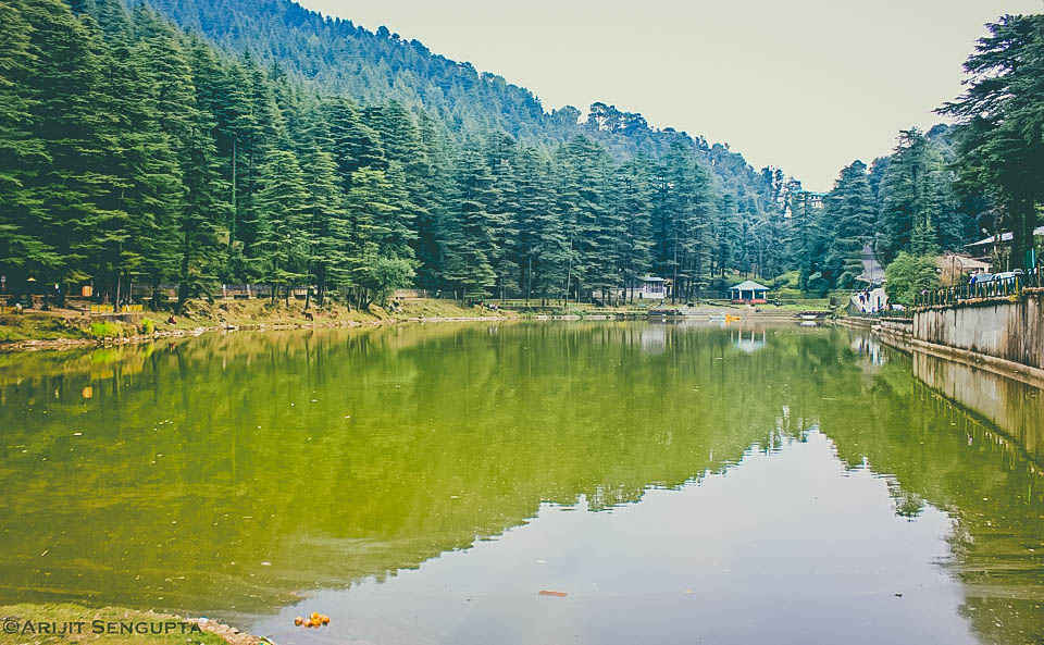 Palampur - The most underrated place of Himachal - Tripoto