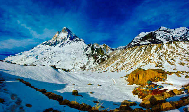 A Literal Encyclopedia To Exploring 11 Gorgeous Forests Of India On ...