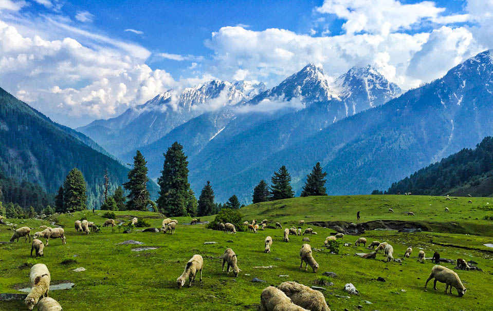 A Kashmiri Locals Guide To Exploring The Hidden Trails Of Aru And ...