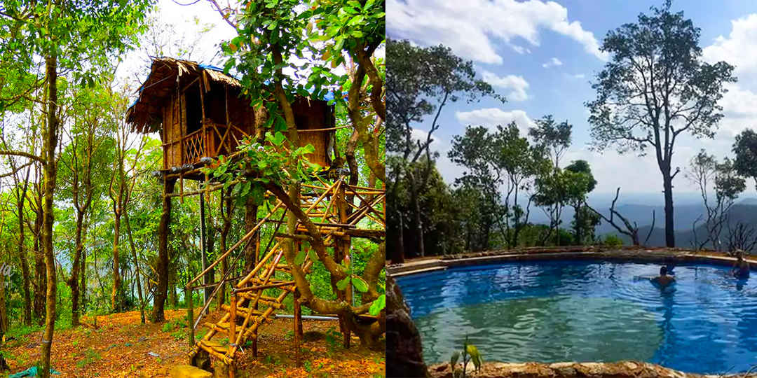 Stay In A Real Tree House In Kerala That Has A Private Infinity Pool