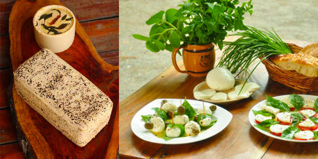 ABC Farms Cheese Manufacturer in Pune Guide: Itinerary, Trip Cost ...