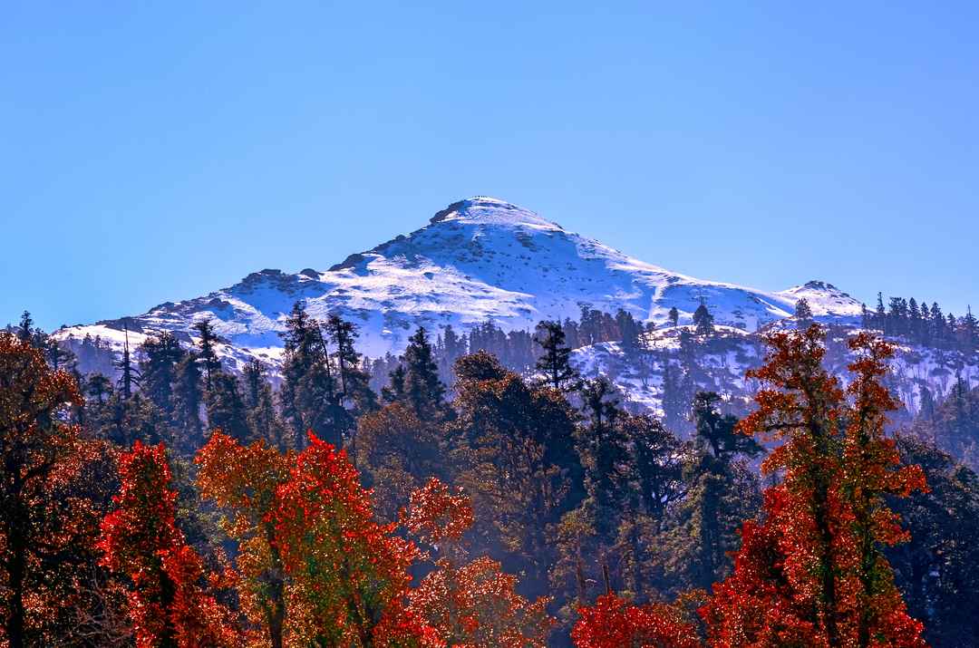 Everything You Need to Know About the Kedarkantha Trek