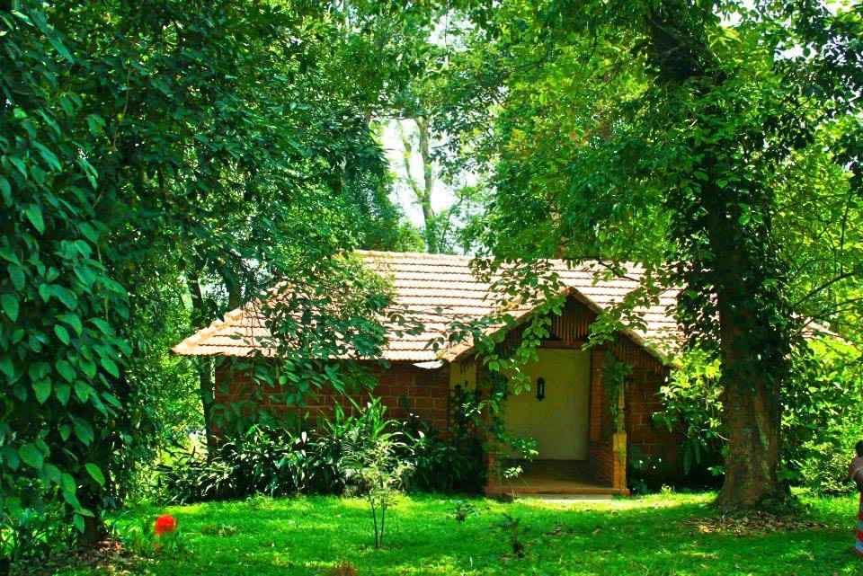 Homestays in Coorg, Explore Best Homestays in Coorg at Tripoto
