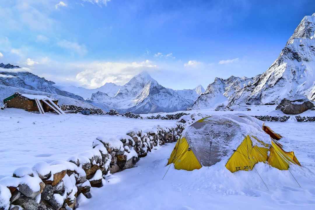 Chopta Travel Guide 2021: Best of Chopta Tourism | Tripoto