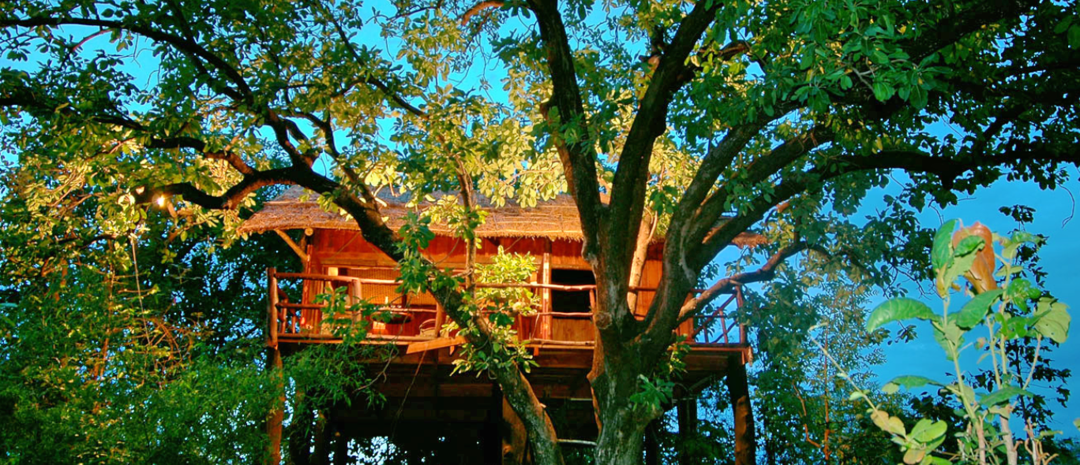 8 Unique Holiday Experiences With Kids For New-Age Parents - Tripoto