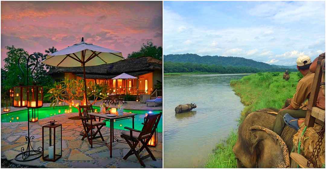 Chitwan National Park, Nepal: A Guide To Asias Best Wildlife Park | Tripoto