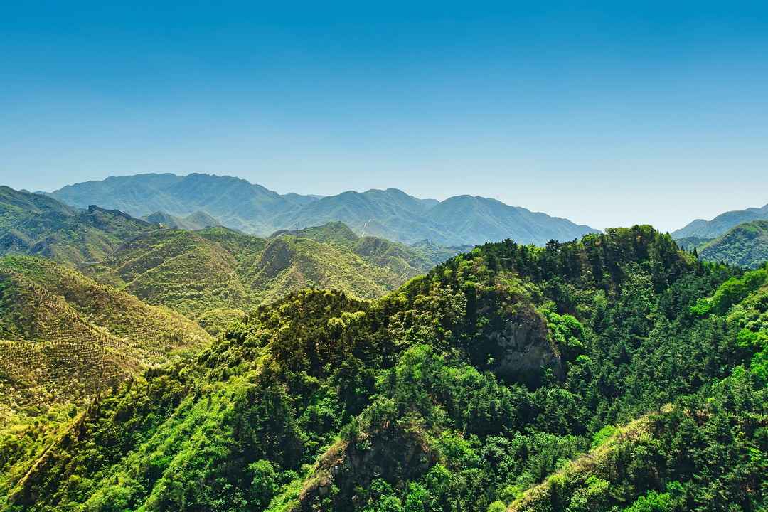 This Unexplored Trail Through A National Park Goes From Sikkim To ...