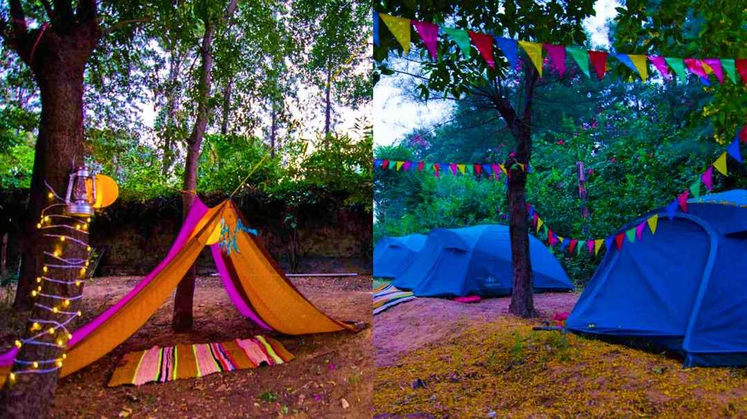 Camping Bonfire In The Woods: The Perfect Secret Getaway For Your ...