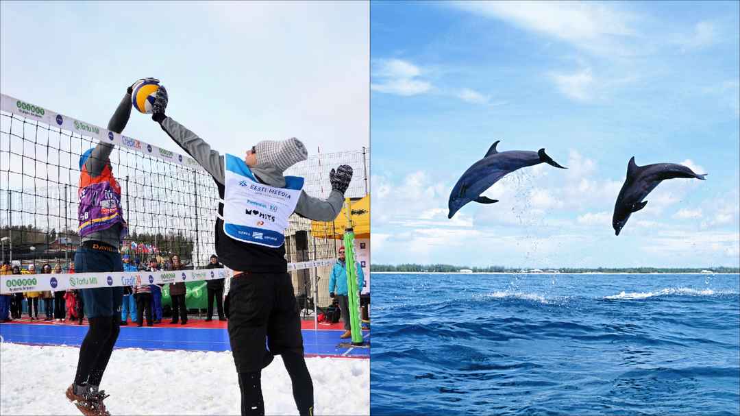 Adventure Sports in Goa Guide: Places, Type of Sports Activities - Tripoto