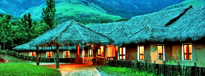 Ready To Rough It Out A Guide To Experience The Best Of Wayanad Under ...