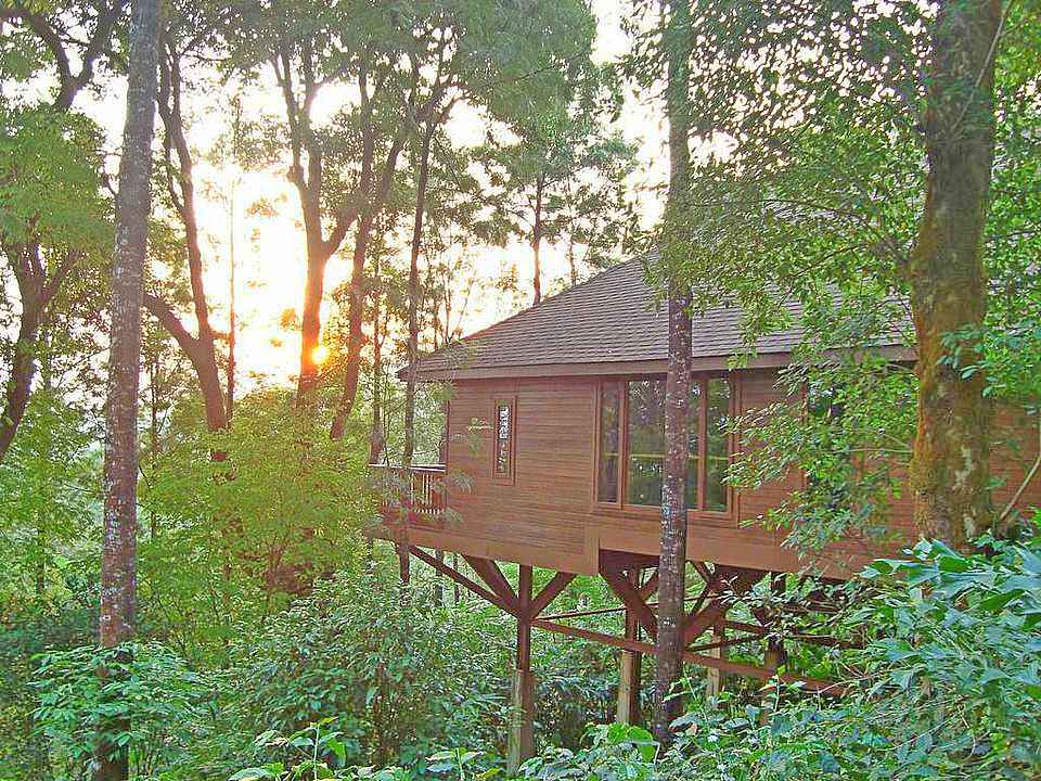 This Hidden Jungle Lodge in Coorg Is What Dreams are made of - Tripoto