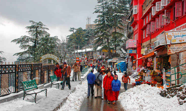 This Year, Kickstart Your Summer Right With Shimla Summer Festival ...