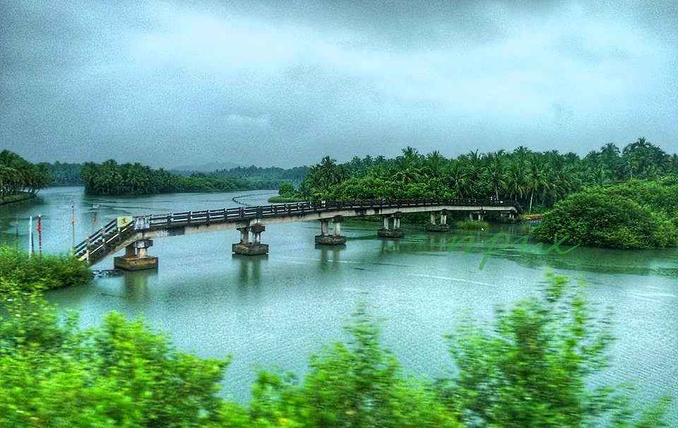 Bird Sanctuaries in Kerala, Top 8 Must Visit Bird Sanctuaries in Kerala ...