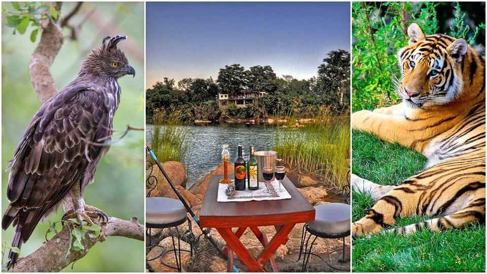 All You Need To Know Before Visiting Pench National Park