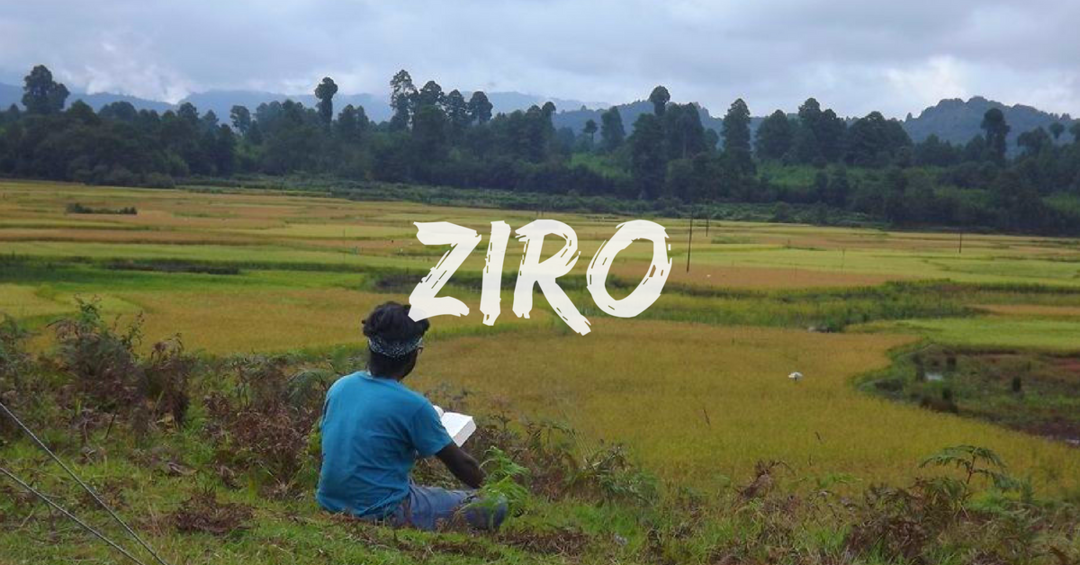 A Comprehensive Guide on Exploring Ziro - Tripoto