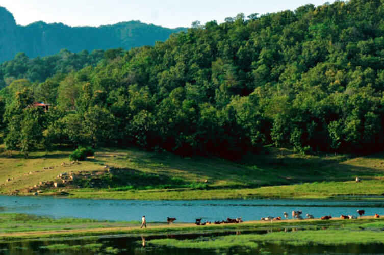 This Picturesque Jungle In India Is The Perfect Monsoon Getaway You’ve ...