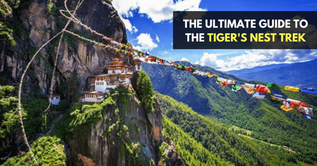 The complete Guide to Tiger Trek: Bhutan - Tripoto