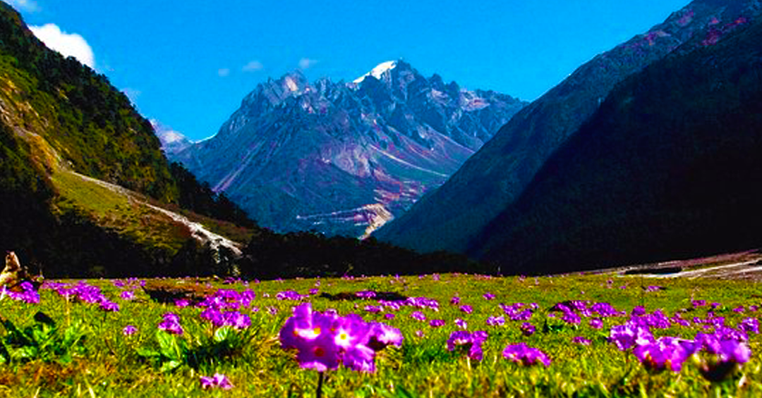 Mt.Katao - The Switzerland of eastern Himalayas - Tripoto